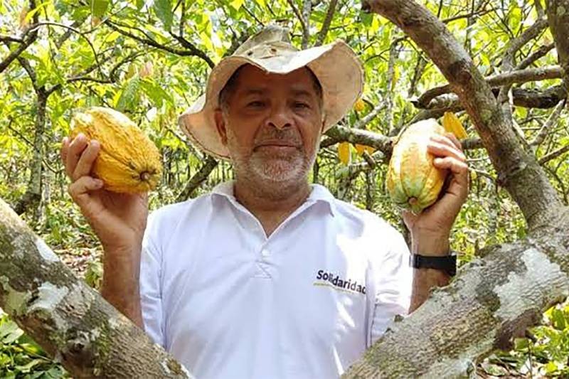 Chocolate produzido no Pará é prata em competição internacional ...